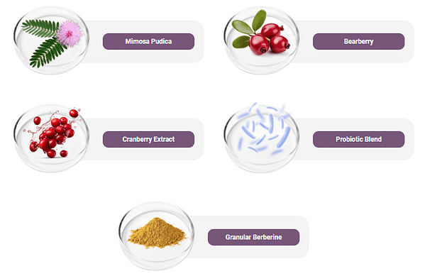 Affordable FemiPro for Women Bledder control in US - Health Harmony